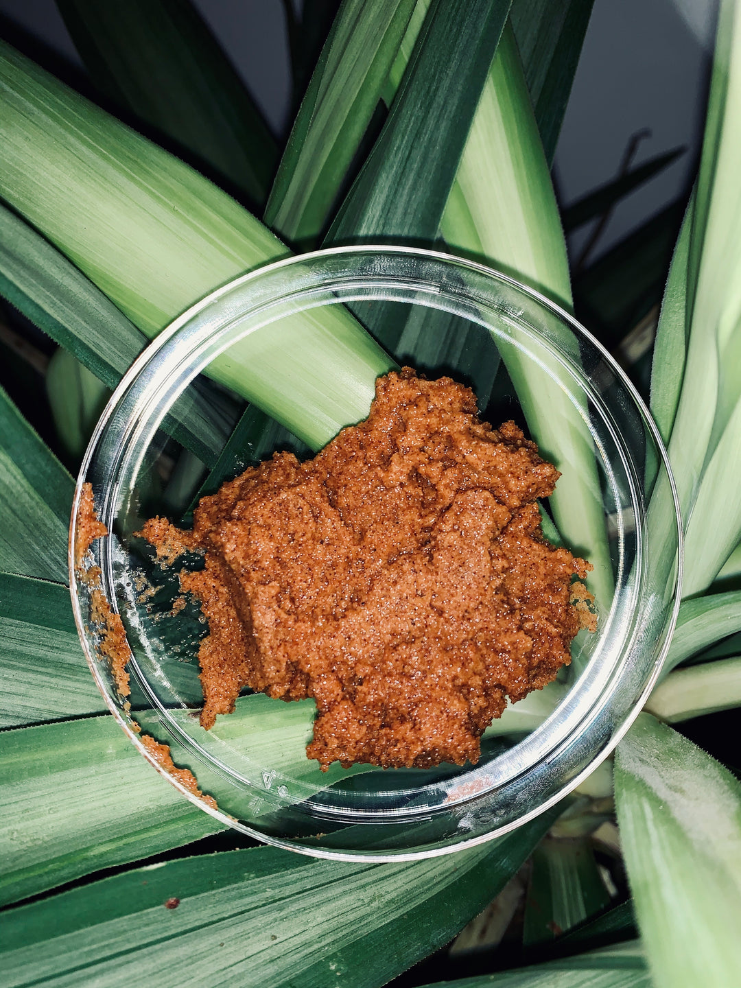 AHA Beauty Polish – beautystrike